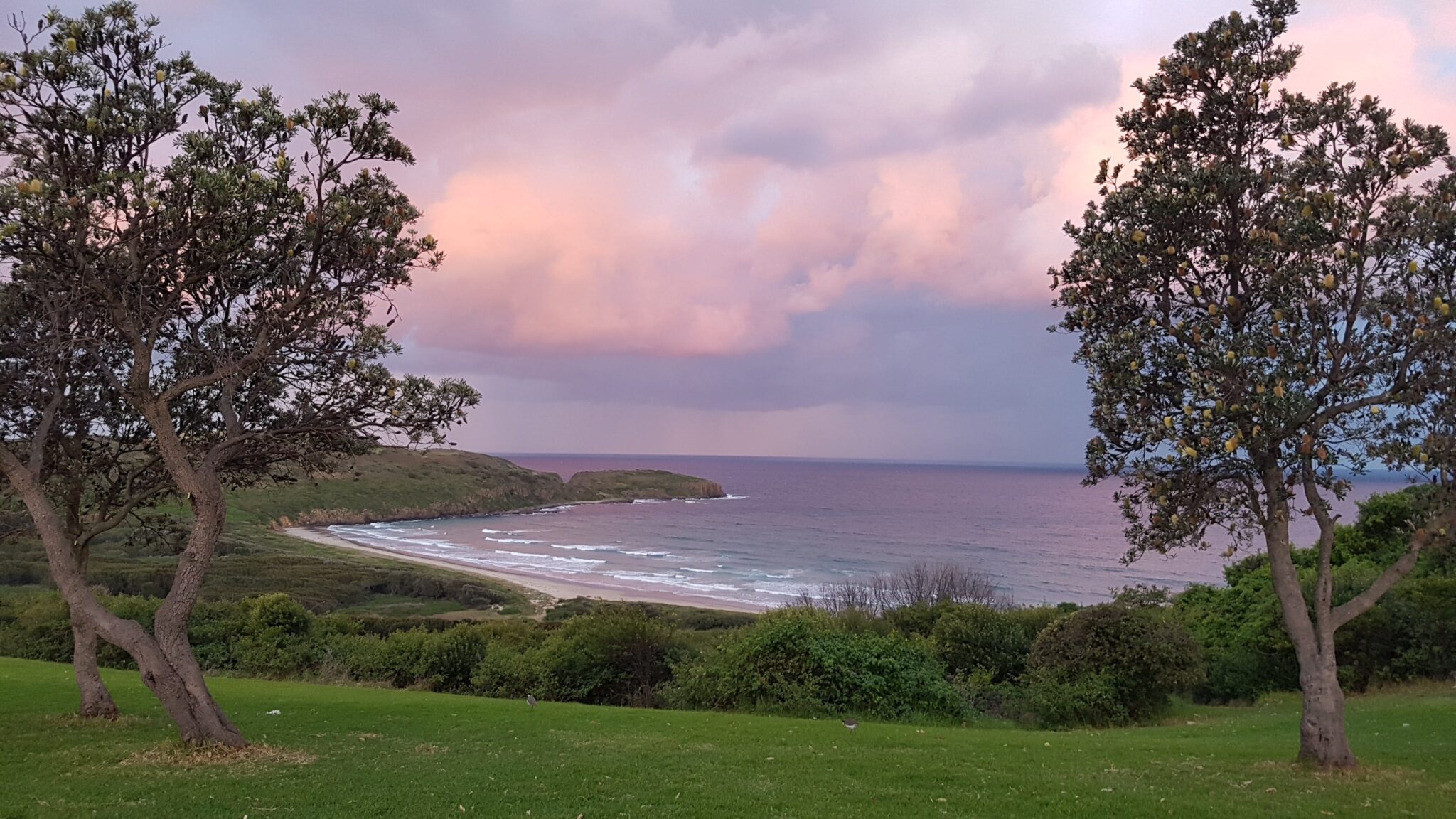 Killalea Beach - The Farm - Visit Shellharbour