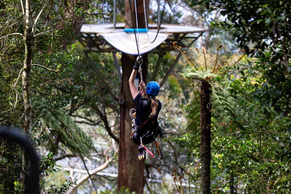 Illawarra Fly Treetop Adventures - Visit Shellharbour