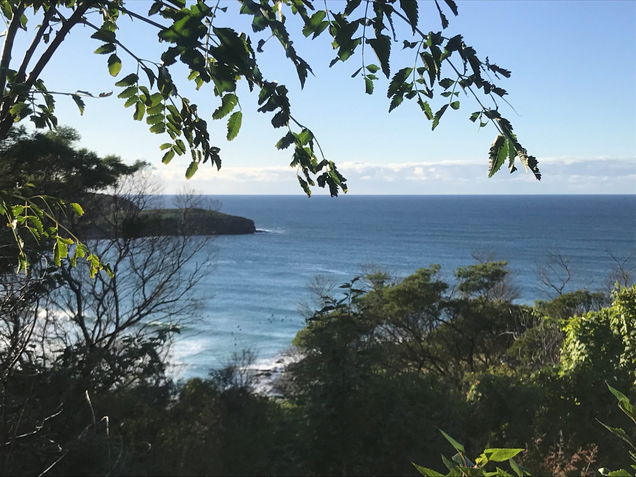 Killalea Beach - The Farm - Visit Shellharbour