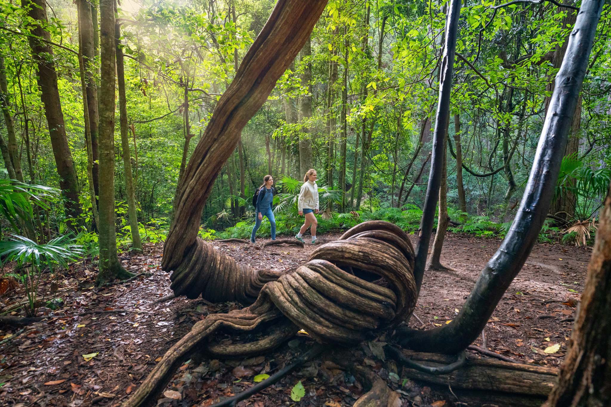 One Day In Shellharbour Visit Shellharbour One Day In Shellharbour Visit Shellharbour