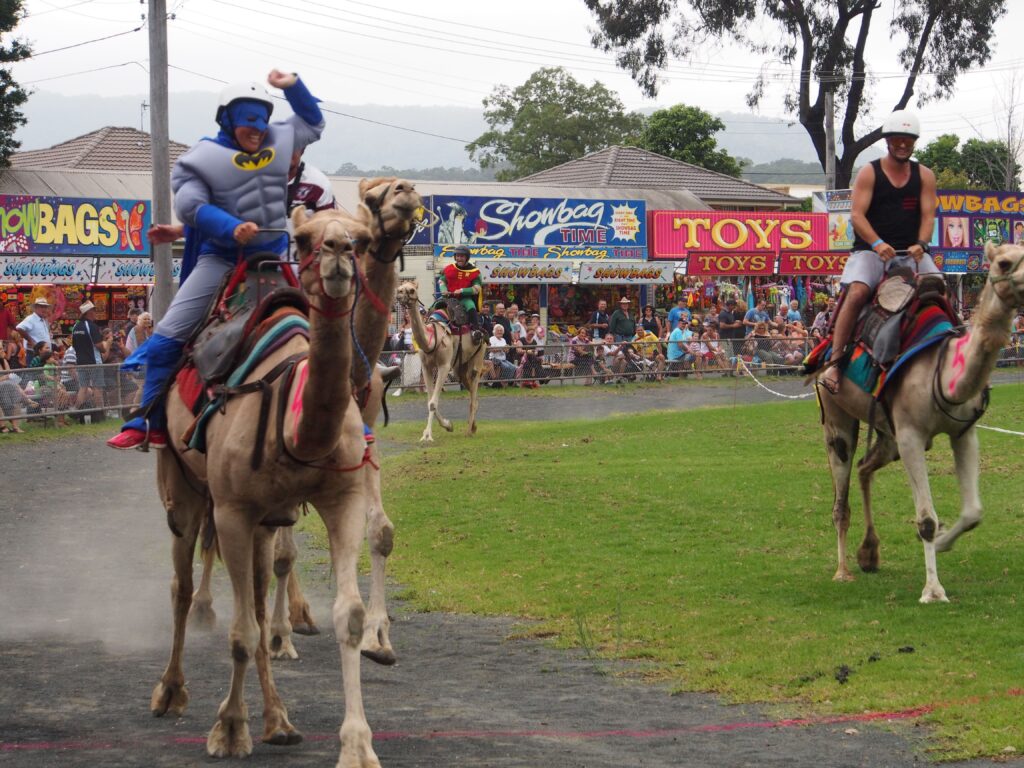 Whats On - Visit Shellharbour