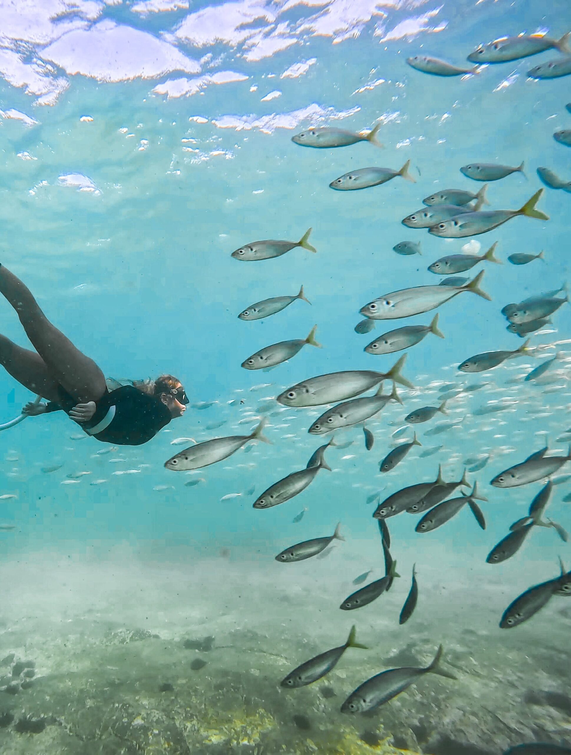 Deep Sensations Freediving - Visit Shellharbour