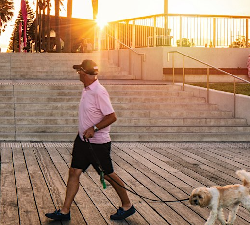 Shell Cove Marina Walking Tour - Visit Shellharbour