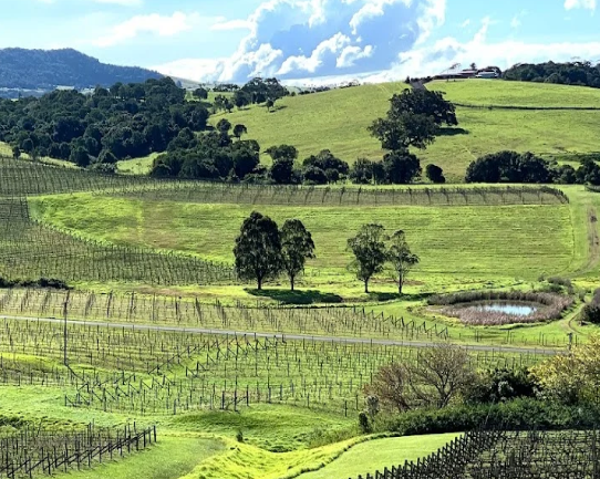 Winter Wine Festival at Crooked River Winery - Visit Shellharbour