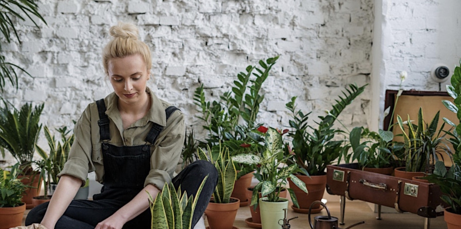 Potted Patios - Gardens in Small Spaces at Oak Flats Library - Visit ...
