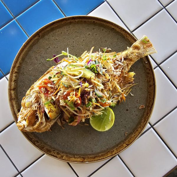 Easter Long Weekend at Waterfront Tavern - Visit Shellharbour