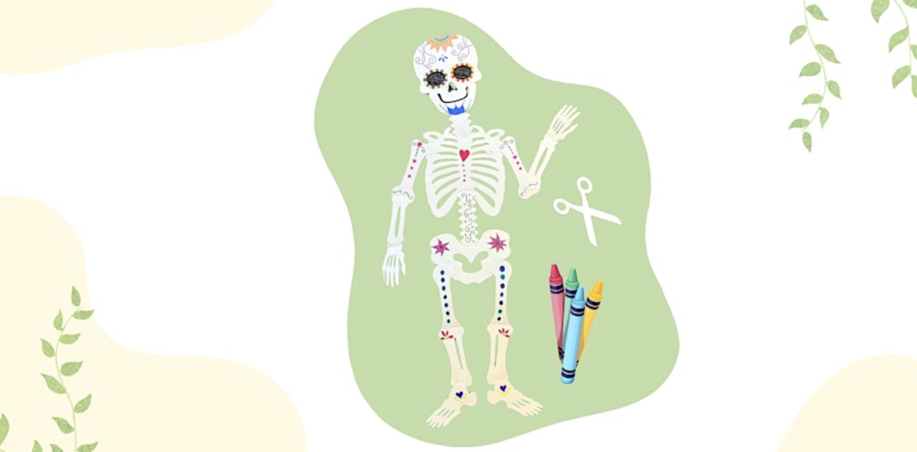 Build and Decorate a Skeleton at Albion Park Library - Visit Shellharbour