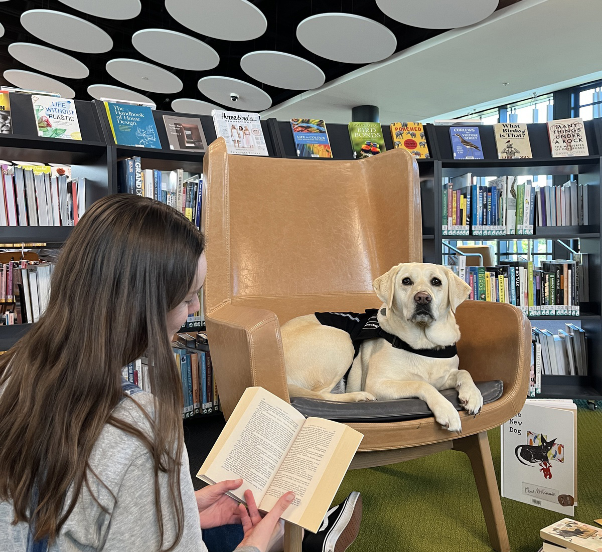 Paint a Puppy: With special guest Ollie the Librarian at Oak Flats ...
