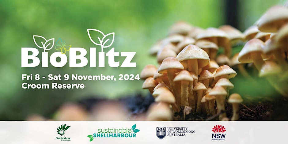 Bio Blitz at Croom 2024 - Visit Shellharbour